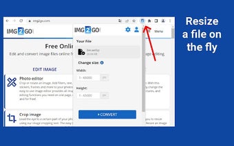 Online Image Editor (img2go.com) for Google Chrome - Extension Download